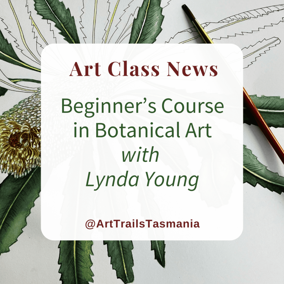 Beginner's Course in Botanical Art ‣ Art Trails Tasmania